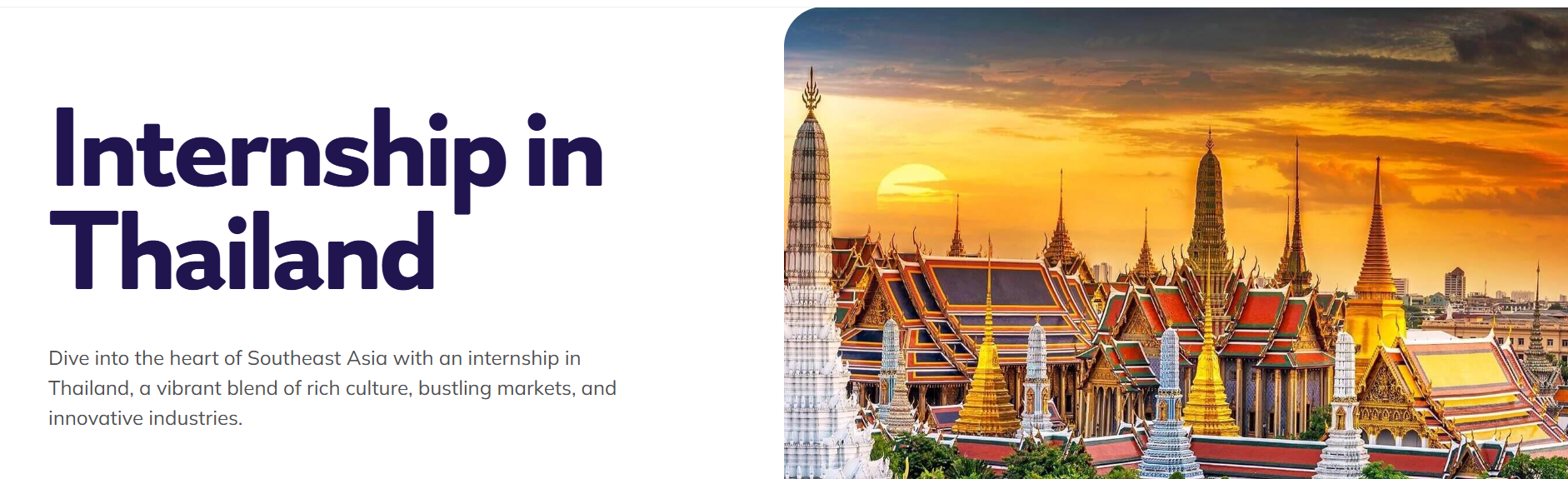 The Asia Internship Program (AIP) - AGRI-WEB