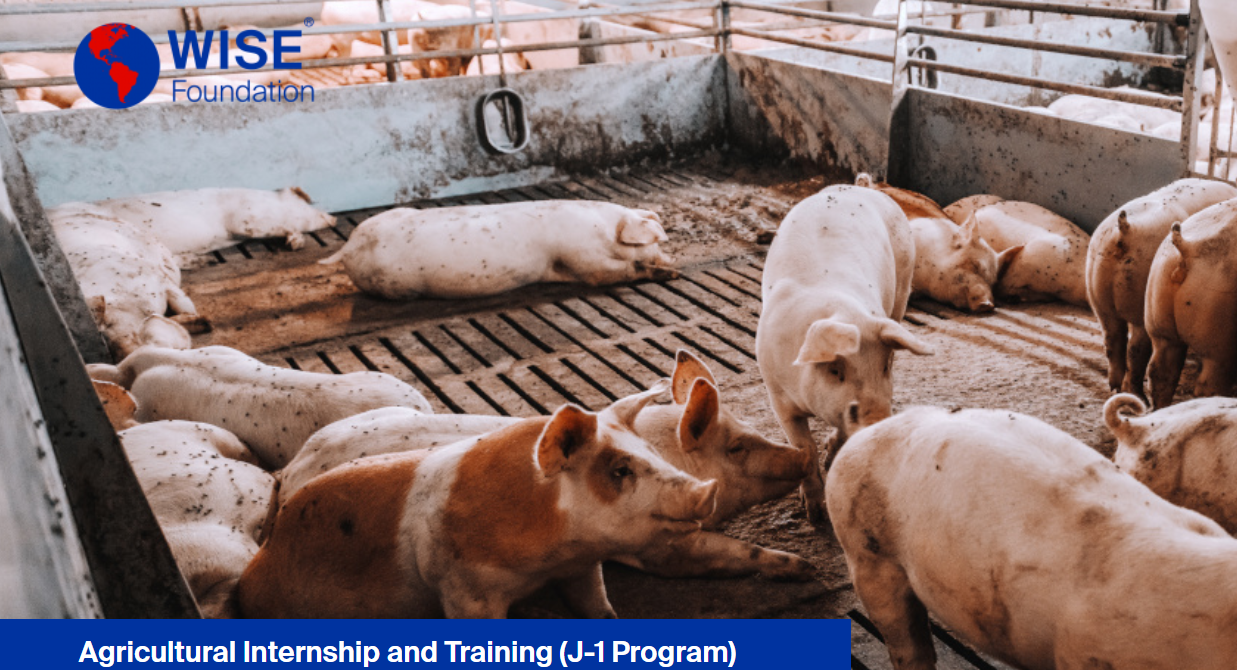 WISE Agricultural Training and Internship Program – USA - AGRI-WEB